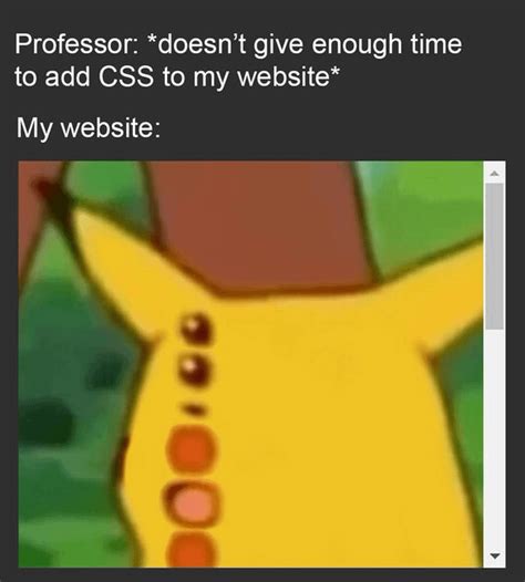css r programmerhumor