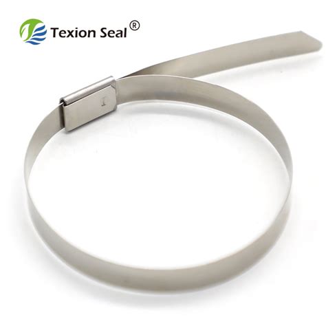 Steel Wire Tiesstainless Steel Locking Ties