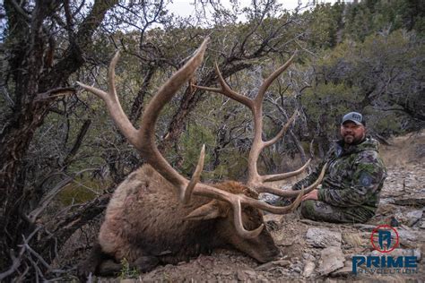 Its Time To Hunt Nevada Everything You Need To Know To Get Started