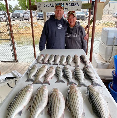 Striper Fishing Texas Striped Bass Fishing Lake Texoma Texoma Guides