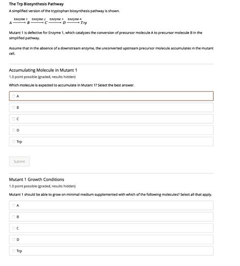 Solved The Trp Biosynthesis Pathway A Simplified Version Of The Tryptophan Biosynthesis Pathway