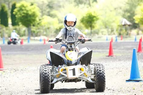 【公式販売】富士すばるランド ワンデーパス（山梨県 富士河口湖町・テーマパーク） アクティビティジャパン