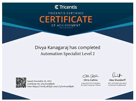 Divya Kanagaraj On Linkedin Tosca Tricentis Toscaautomation As2 Automationspecialist