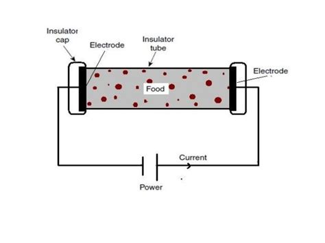 Power Point Presentation Ppt On Ohmic Heating And Extraction Processi