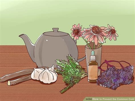 7 Ways To Prevent The Common Cold WikiHow Health