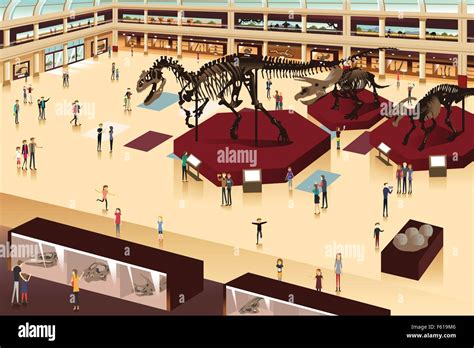 A Vector Illustration Of Scene Inside A Natural History Museum Stock