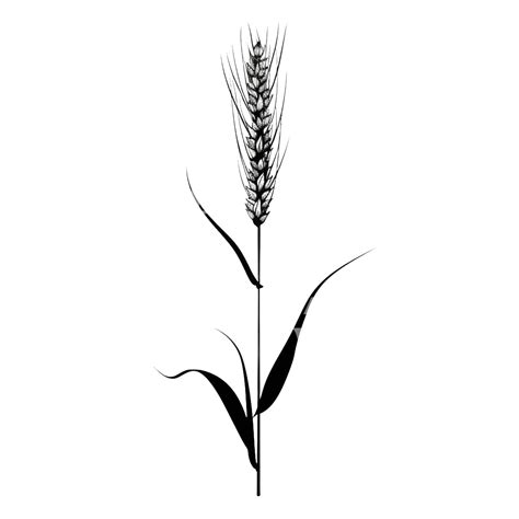Wheat Kernel Minimalist Tattoo Design Tattoos Wizard Designs