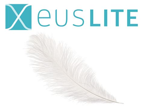 Xeus Lite Jupyterlite Xeus ️️ By Thorsten Beier Jupyter Blog