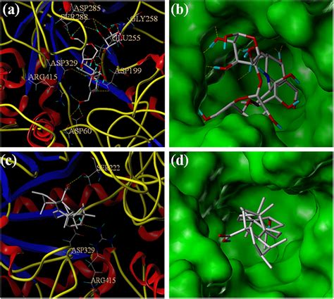 A The Binding Mode Of Acarbose Docked With α Glucosidase B Download Scientific Diagram