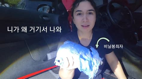 에어컨이 맛탱이 간 이유 과정없음ㅋㅋㅋ푸조206cc 어이없는 에어컨 히터 고장 Youtube