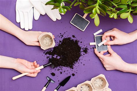 홈 원예 개념입니다 아이들의 손은 식물 종이 냄비 및 장갑에 서명정원 도구와 판자와 토양작업 맨 위 보기 2명에 대한 스톡 사진 및 기타 이미지 Istock