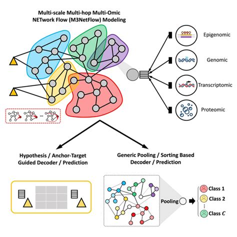 M3netflow A Multi Scale Multi Hop Graph Ai Model For Integrative Multi Omic Data Analysis Pmc