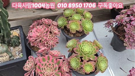 농장의다녀왔어요 멋진아이들 구경오셔요 Youtube