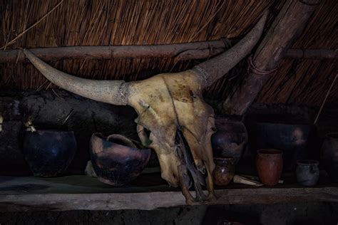 무료 이미지 목재 포도 수확 고대 미술 집 어두운 형성 그런지 어둠 검은 죽은 죽음 도기류 두개골 뼈 머리 해골 세습 재산 스크린 샷