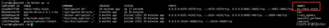 redis stack 安装部署 redis stack csdn博客