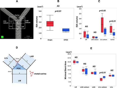 Incomplete Stent Apposition Volume And Minimal Stent Area In Download Scientific Diagram