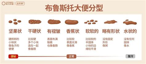 便便的粗细到底由什么决定？带你探秘人体大便工厂！ 知乎