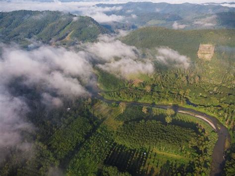 Premium Photo Aerial View Of Agricultural Landscape