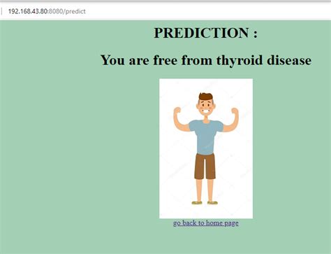 Github Amanjiwanipublicmlwebapp
