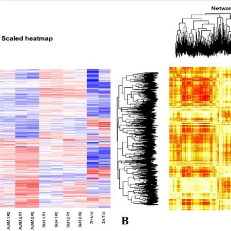 Scaled Heatmap A And Tom Plot B Of Differential Expressed Genes Download Scientific Diagram