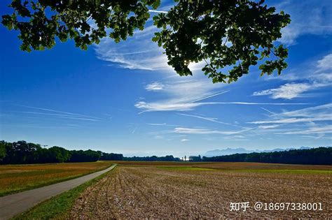 如何提高应变能力？ 知乎
