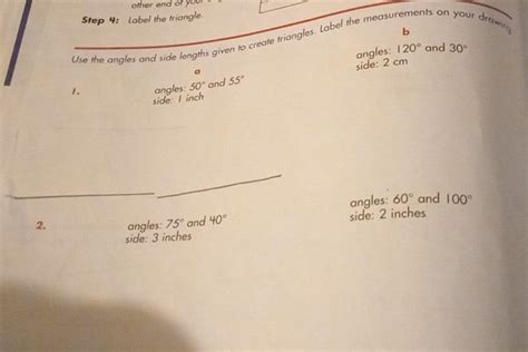 Solved Other End Of Yout Step Label The Triangle B Use The Angles And Side Lengths Given T