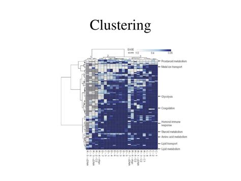 Ppt Analysis Of Microarray Data Powerpoint Presentation Free Download Id3756953