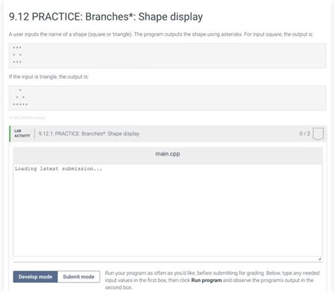 912 Practice Branches Shape Display A User Inputs