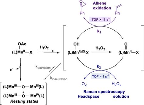 Reversible Deactivation Of Manganese Catalysts In Alkene Oxidation And H2o2 Disproportionation