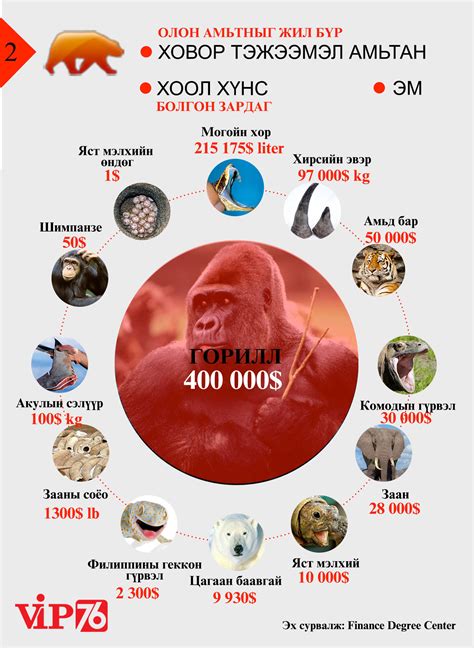 Vip76 Mn Хар зах зээл буюу бөөр ямар үнэтэй вэ