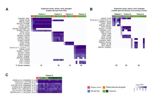 R Plot A Circos Plot To Show The Consistency Between 2 Samples