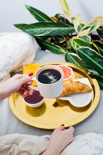 룸 호텔 서비스에에서 아침에 커피를 마시는 여자 커피 잼 크로 오렌지 주스 자 몽 열매 사이드 보기 밝은 배경 0명에 대한 스톡 사진 및 기타 이미지 Istock