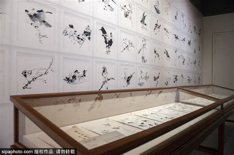 疏影暗香纪念张书旂诞辰120周年艺术展