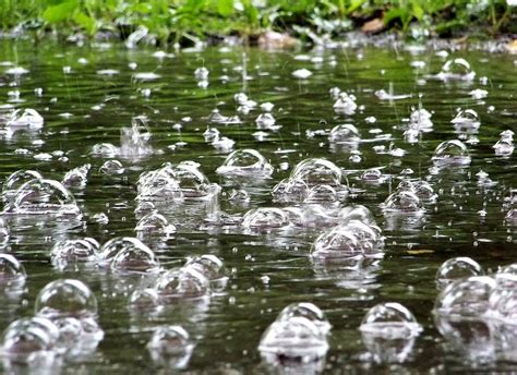 Правда ли что пузыри в луже к долгому дождю Границы условные Дзен