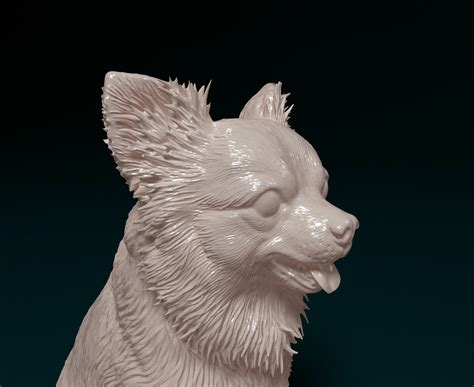 Chihuahua Long Haired 4 3d Model 3d Printable Cgtrader