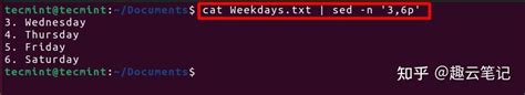 如何在Linux系统中使用Cat命令 个典型示例 知乎