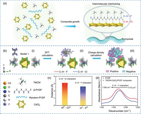 The Intermolecular Interlocking Effect Between Tmcm‐cdcl3 And Pvdf A Download Scientific