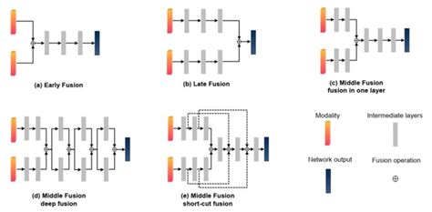 Various Sensor Fusion Schemes For Neural Networks Classified By Download Scientific Diagram