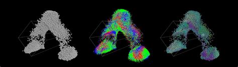 Deformation Gradient F