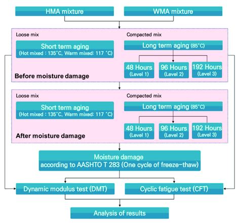 Flowchart Of The Experiment Download Scientific Diagram