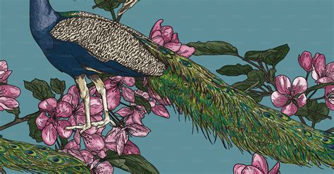 공작새와 크랩애플 나무 꽃의 섬세한 라인 아트가 이 매끄러운 패턴을 빈티지 스타일로 장식합니다 글로벌 컬러 쉽게 변경할 수 있습니다 벡터 Unsplash의 벚꽃 이미지