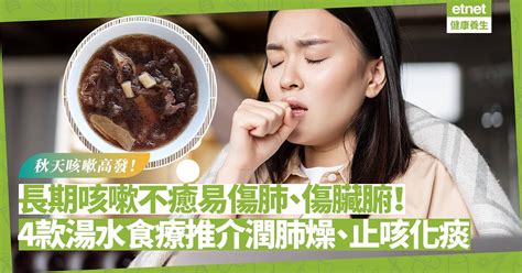 秋天咳嗽高發！長期咳嗽不癒易傷肺、傷臟腑！4款湯水食療推介針對不同咳法！川貝燉雪梨潤肺燥、紫蘇糖薑水驅風寒止咳 中醫話 中醫養生