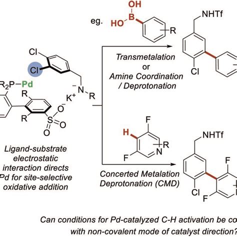 Robert J Phippss Research Works University Of Cambridge Cambridge