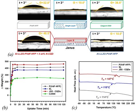 Multifunctional Janus Separators For Safer And Dendrite‐free Lithium