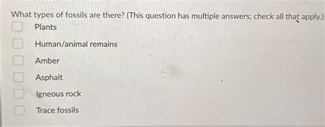 Solved What Types Of Fossils Are There This Question Has Solved What Types Of Fossils Are There This Question Has