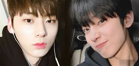 사막여우 티벳여우 여우상 남자 아이돌 7 네이버 포스트