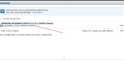 Patching Oracle Database 12201 Release Update And Release Update