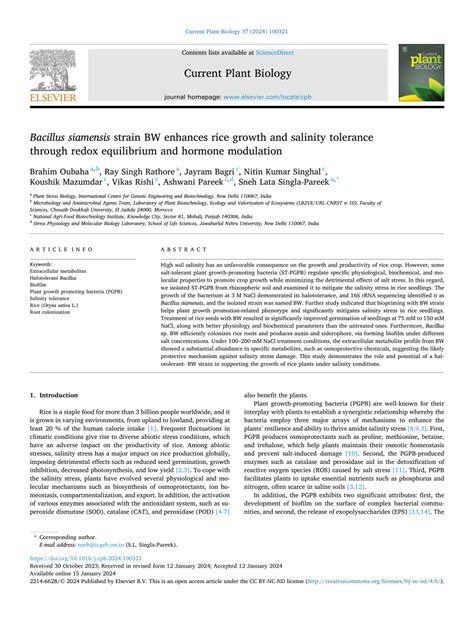 Pdf Bacillus Siamensis Strain Bw Enhances Rice Growth And Salinity