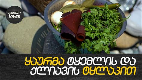 გასტრომოყვარული ჯიგრის ყაურმა ტყემლის და ქლიავის ტყლაპით Ix ეპიზოდი Youtube