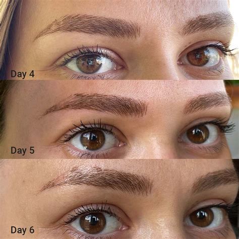 Eyebrow Swelling After Microblading At Isabella Embry Blog